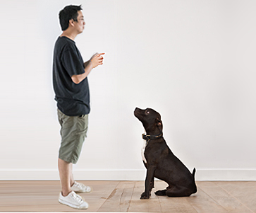 Agriculture, Fisheries and Conservation Department - Animal Management